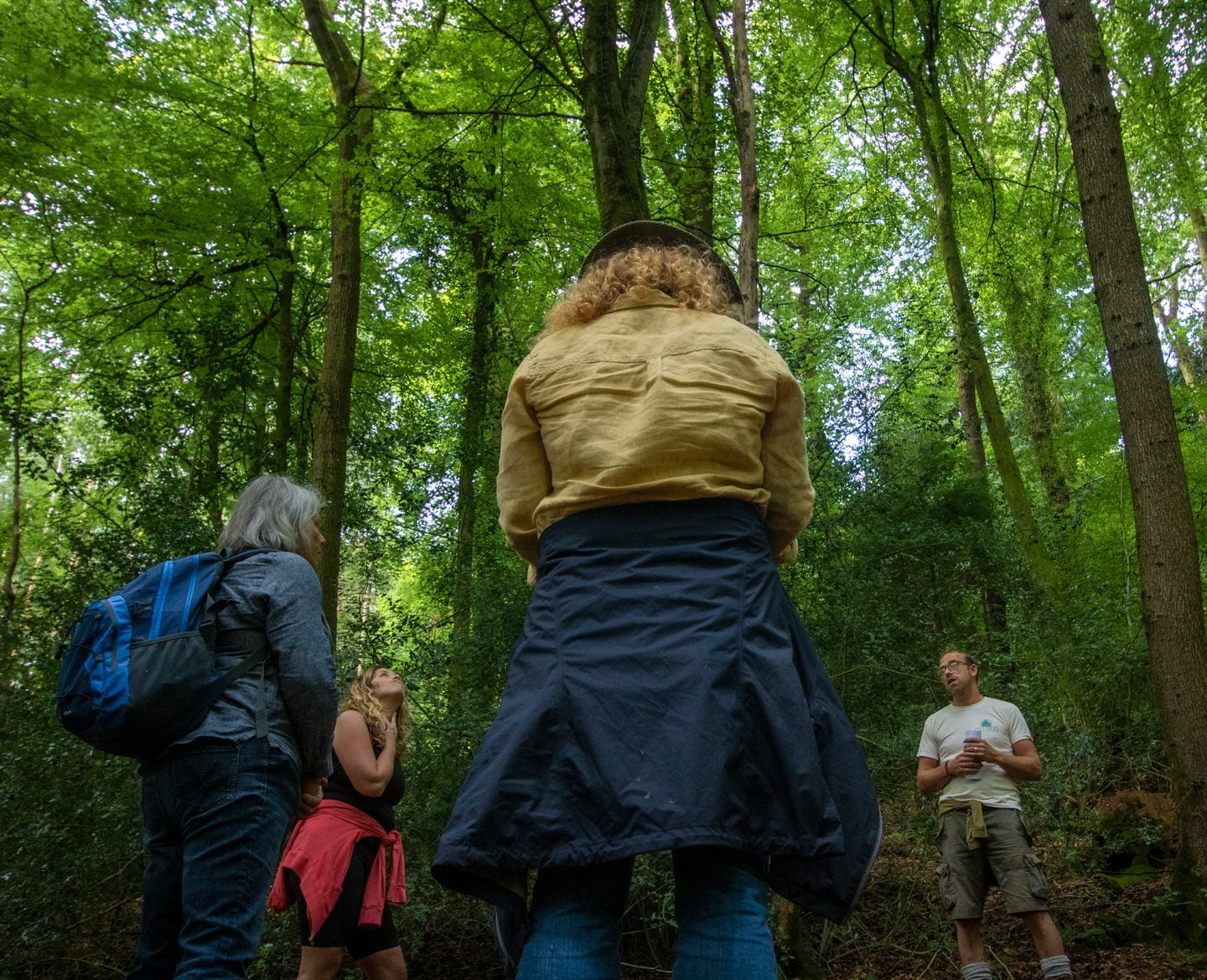 Forest Bathing | Forest Retreats