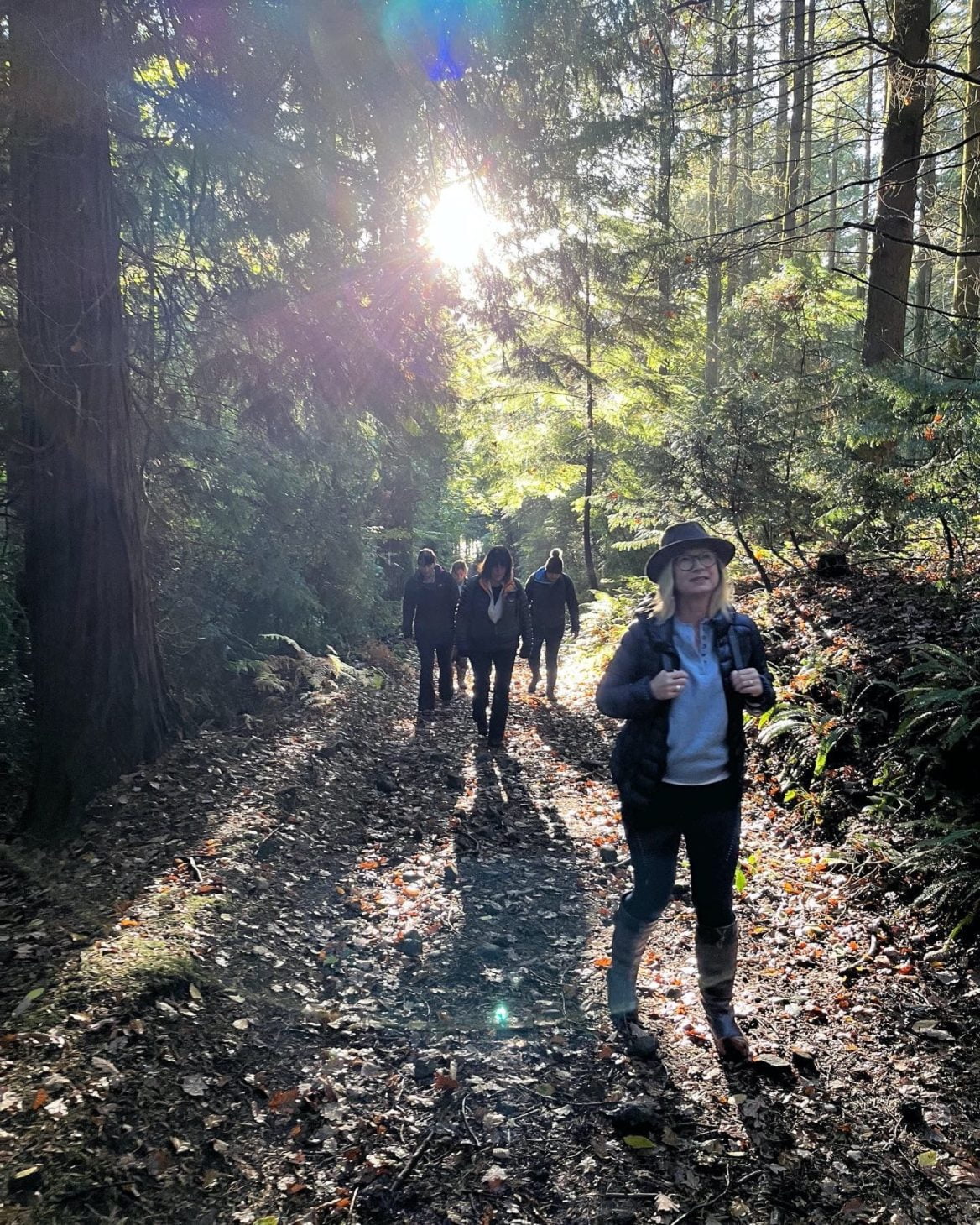 Forest Bathing | Forest Retreats