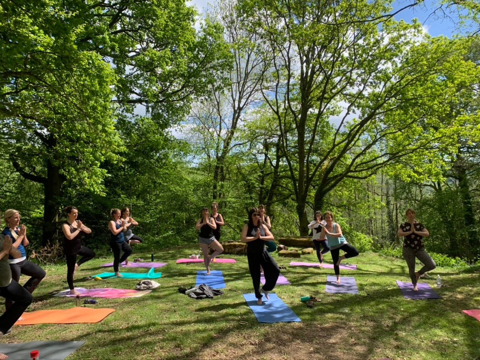 Forest Retreats | Wellness & Wellbeing in Nature